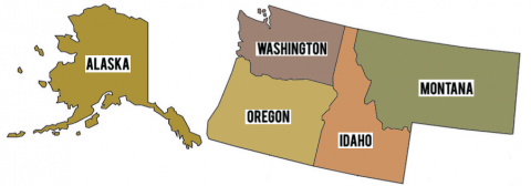 About-New | Stack & Company